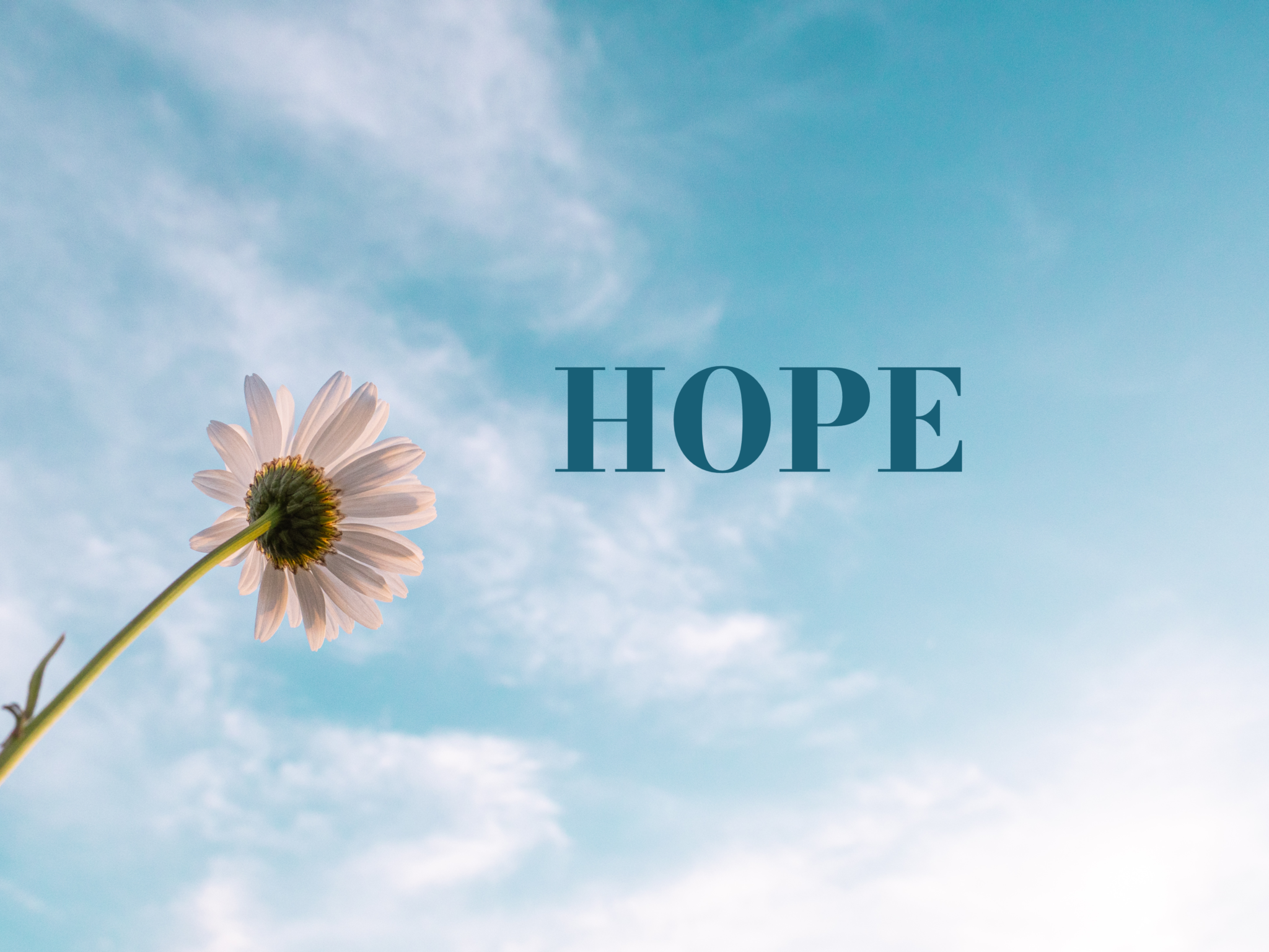 The Power Of Hope - Delight In God